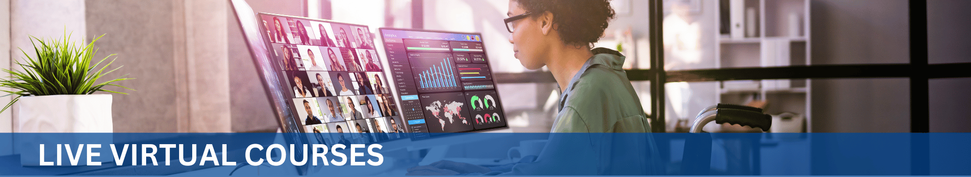 Live Virtual Courses